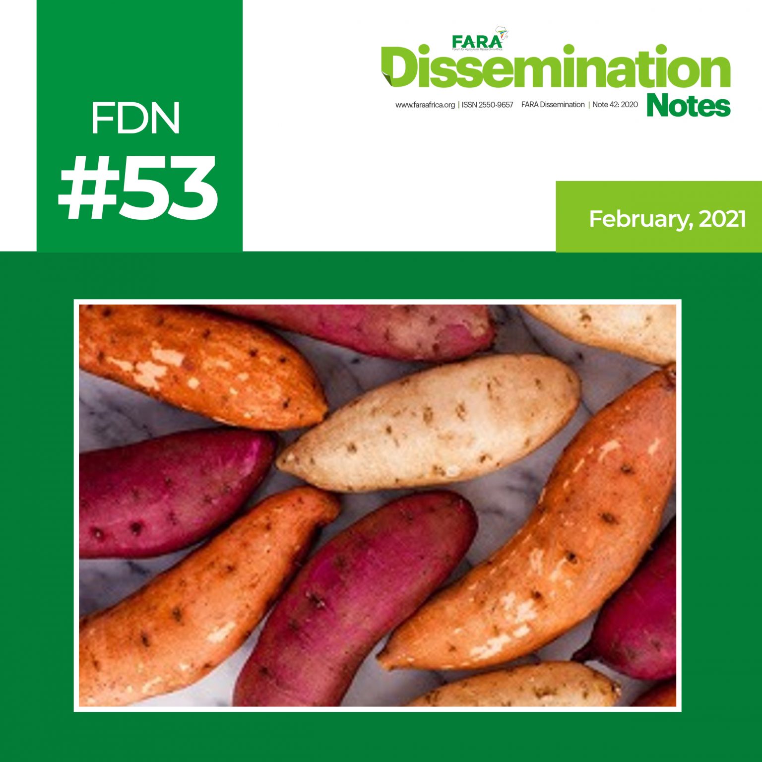 FDN 53_2021 - The case of Orange-Fleshed Sweet Potato (OFSP) Technology ...